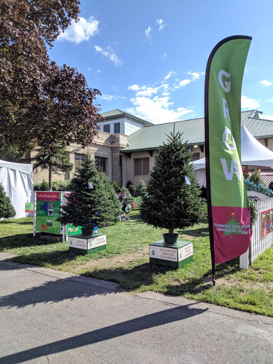 Three Seasons Christmas Tree Farm – 429 DryBridge Rd. Mexico, NY